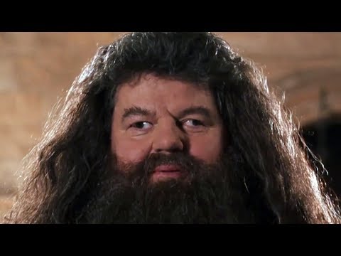 YTP: Mad Hagrid