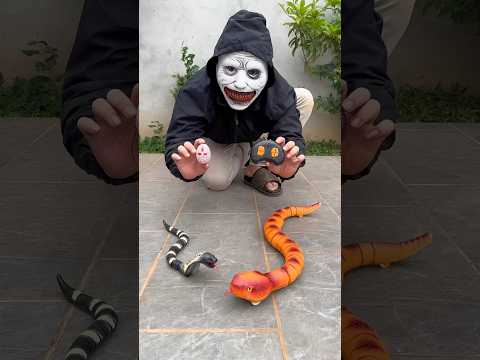 Big Remote Control Snake And Small Snake Unboxing & Testing