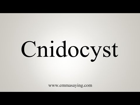 How To Say Cnidocyst