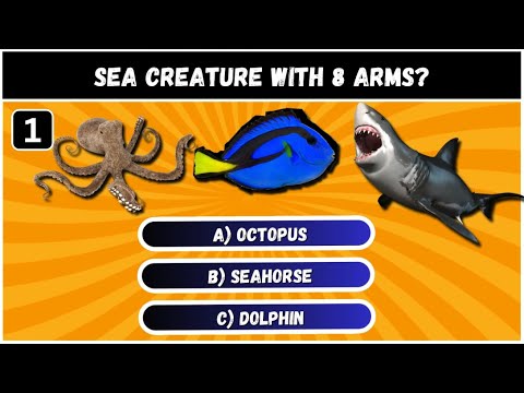 Sea Creature Related Quizzes | Are You an Ocean Expert? Sea Creature Quiz to Prove It