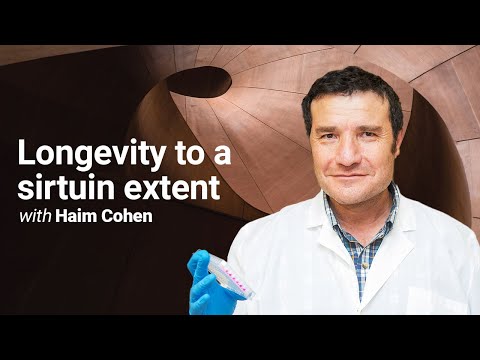 Longevity to a sirtuin extent