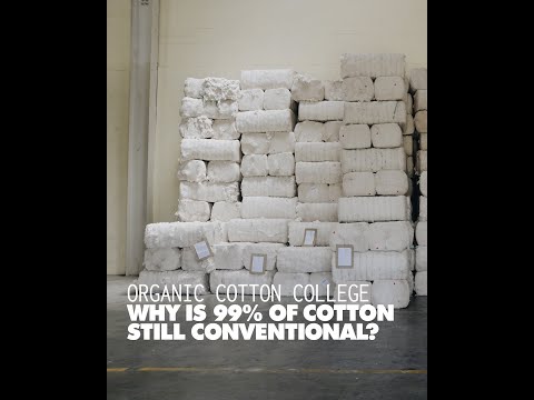 Organic Cotton College: Why is 99% of cotton still conventional?