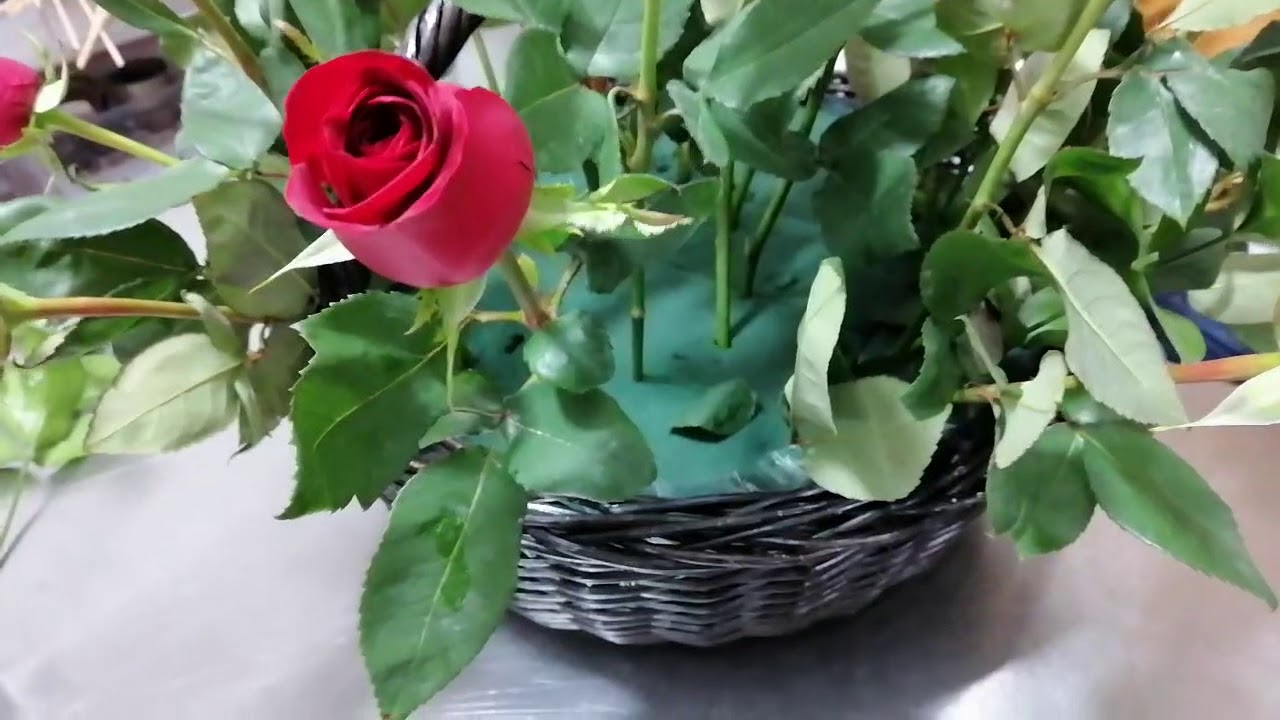 Canasta 24 Rosas Rojas