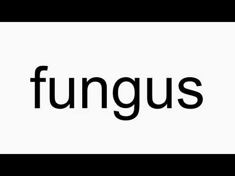 How to pronounce fungus