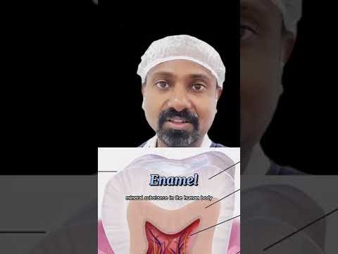 Tooth Enamel