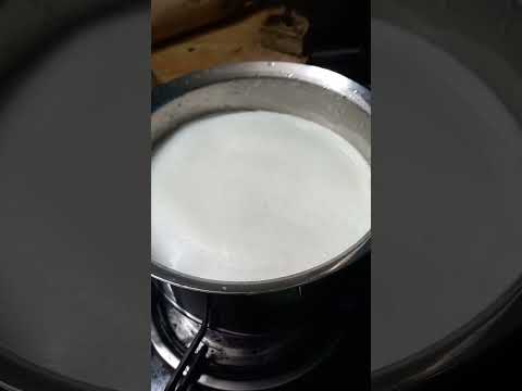 MILK PASTEURIZATION PROCESS/பால் பொங்குதல்/Mr and Mrs Bindhu
