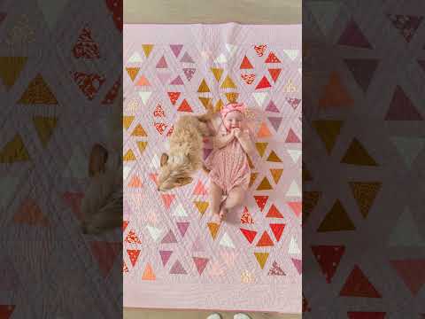 Perennial Quilt--An Ode to the Triangle 📐