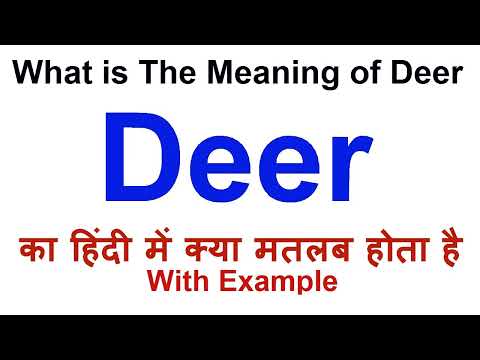 Deer Meaning in Hindi | Deer Definition | Deer Ka Matlab Kya Hota Hai | Deer in Hindi
