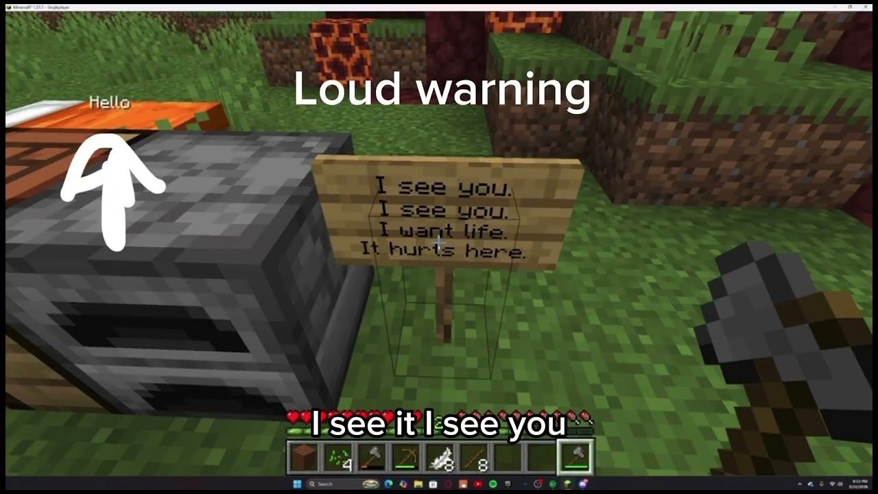 Moments from my stream [SPLIT SELF PART 1?]