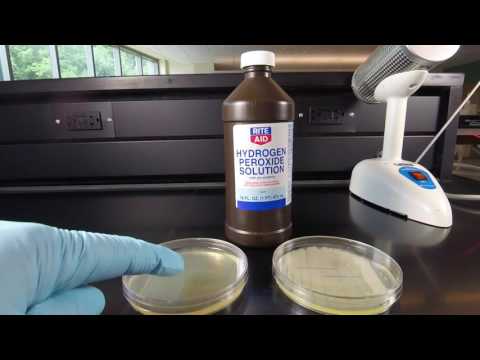 The Catalase Test