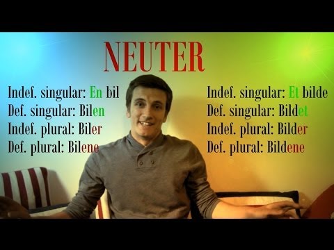 Norwegian Grammar: Norwegian Nouns