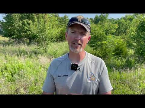 Habitat Hints - Invasive Plants