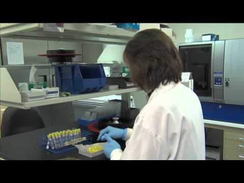 Heart Disease Risk & Genetic Markers