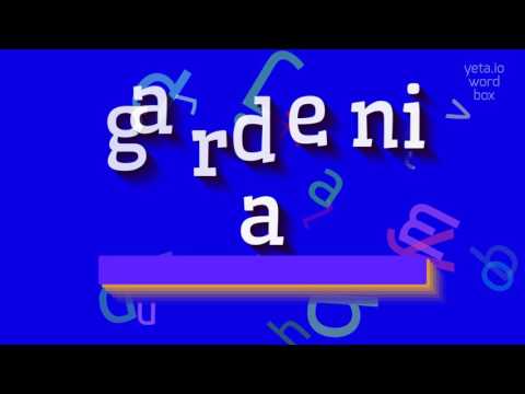 How to say "gardenia"! (High Quality Voices)