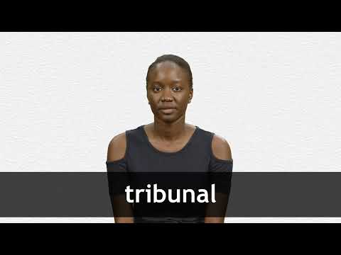 English Translation of “TRIBUNAL” | Collins French-English Dictionary