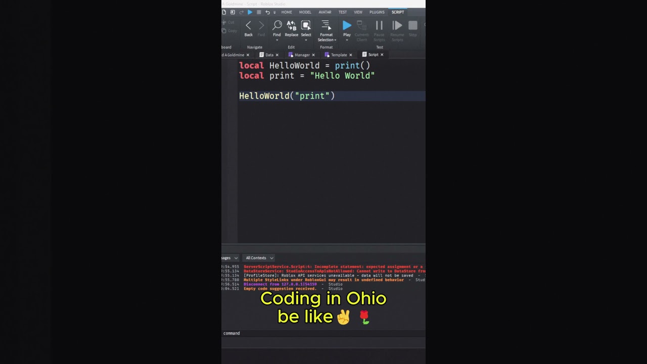 Bro Thinks He’s a Programmer 💀#coding #roblox #meme #funny #ohio #npc  #skibidi #sigma #helloworld