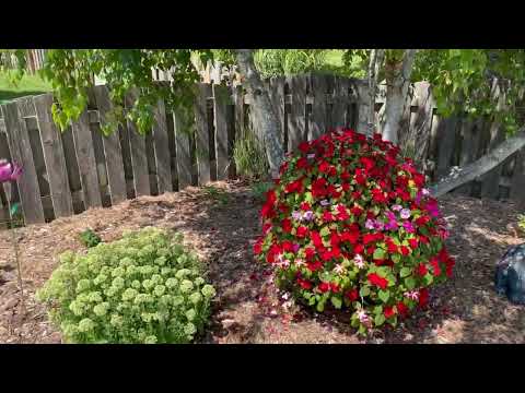 Sharon’s Garden 2023