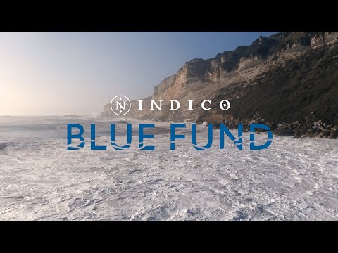 Indico Blue Fund 🌊