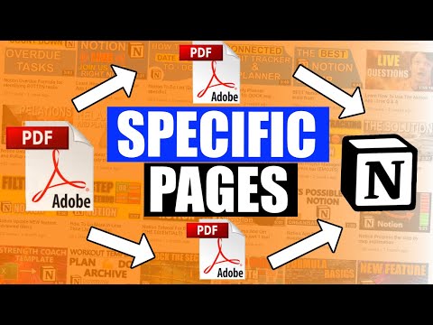 Notion PDF Embed Tutorial