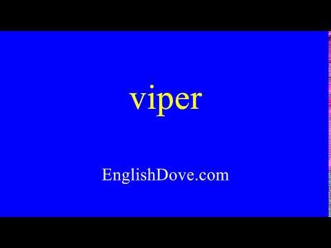 How to pronounce viper in American English.
