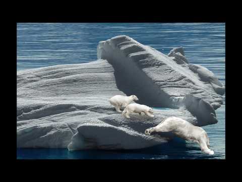 What is an Iceberg?