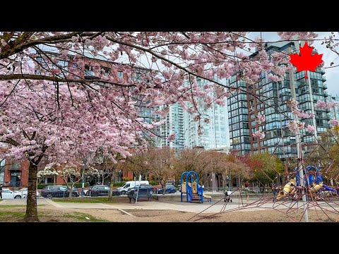 【Vancouver 2025】🇨🇦 1 Minute -David Lam Park 26-🌸