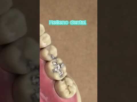 DENTAL FILLING IN SPANISH | Medical Consecutive Interpreting