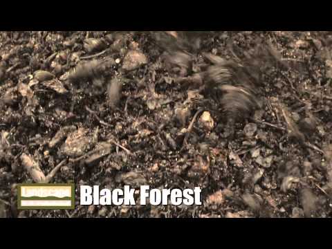 Bark Mulch Delivery near Milton, MA