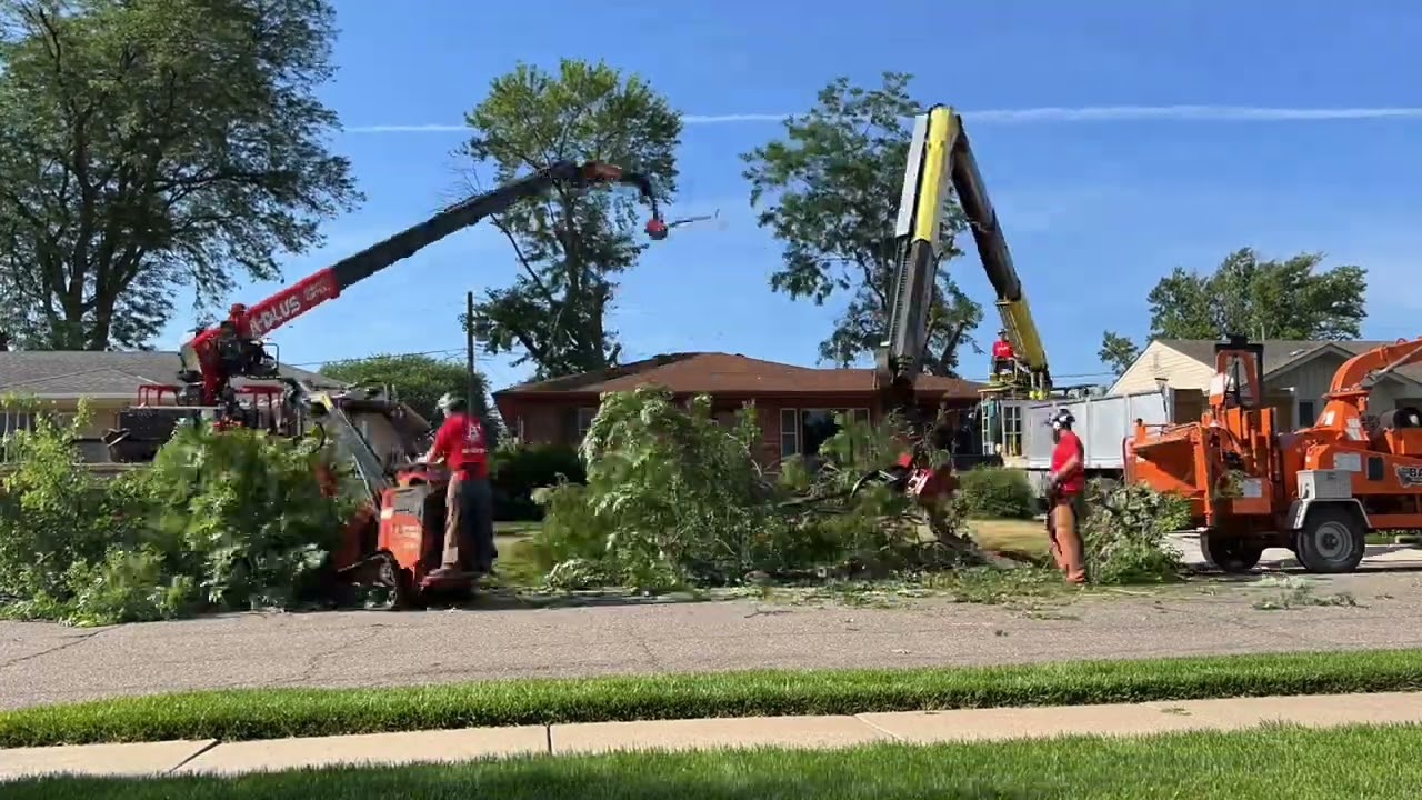 Dual Grapplesaws Removing 2 Backyard Trees