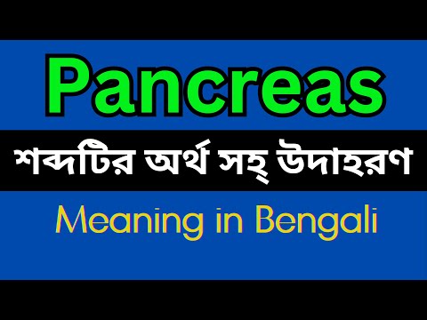 Pancreas Meaning In Bengali /Pancreas mane ki