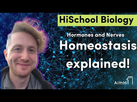 Hormones & Nerves: Homeostasis // HiSchool Biology with Josh Wick