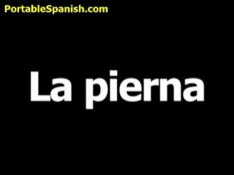 Spanish word for leg is la pierna