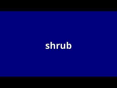 what is the meaning of shrub