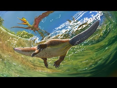 The Mammals that Lived Alongside the Dinosaurs