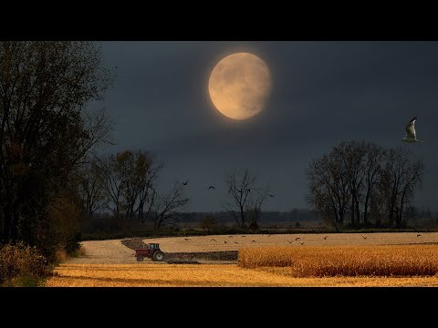 How to Perfectly See Mars Tonight: Mars Opposition Shines Bright