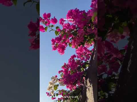 Ik Lamha 🤌🩷 | Lofi Playlist | #trending #love #lofies #lofiplaylist #shortsfeed #lovesong #song