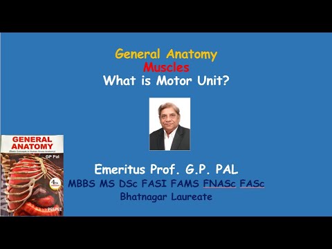 General Anatomy MOTOR UNIT