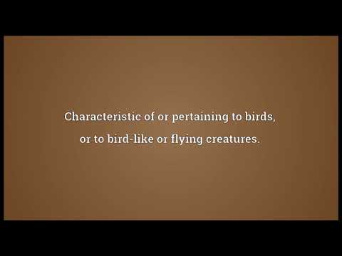 Avian Meaning
