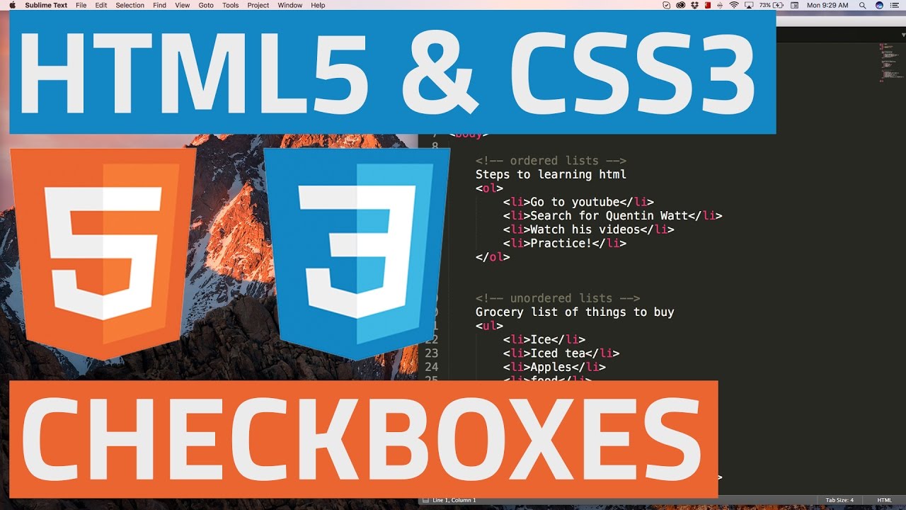 HTML5 and CSS3 beginner tutorial 38 - Checkboxes and Radio buttons
