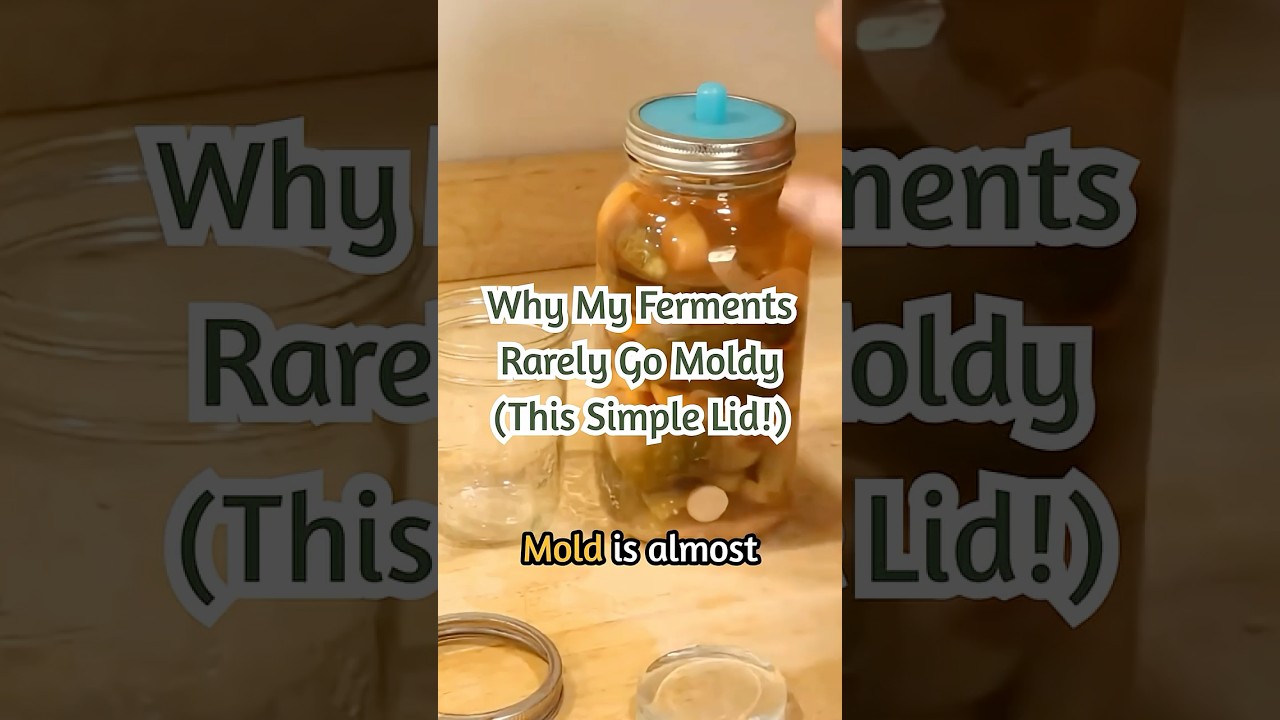Why My Ferments Rarely Go Moldy (This Simple Lid!)