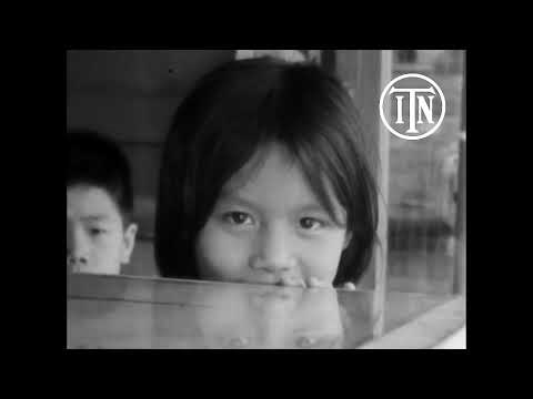 ITN Report (Spring 1965) | U.S. Marines in Da Nang