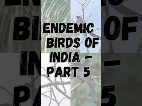 Endemic birds of India - Part 5 #shortsfeed #shorts
