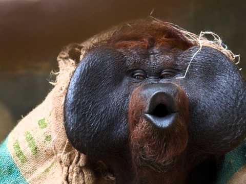 Cute and funny pics of animals!
