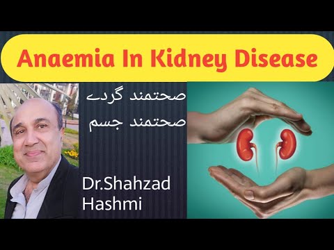 Anaemia In Kidney Disease | Kidney's Health | Treatment Of Anaemia
