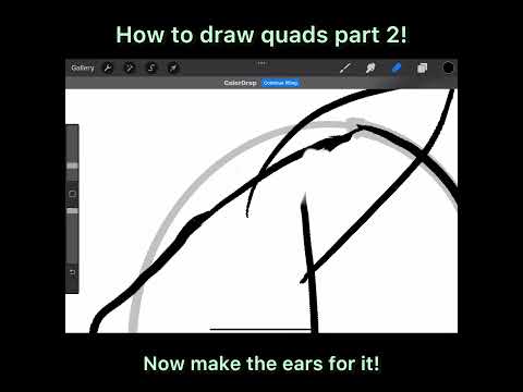 How to draw yourself or someone else do quads part 2! #creamwolf #foryou #therian