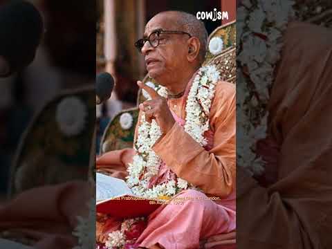 HDG Srila Prabhupada's Opinion on Jesus Christ and Meat Eating | Cowism