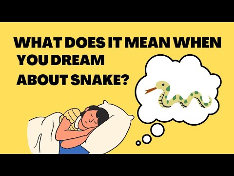 What Does It Mean When You Dream About Snakes?