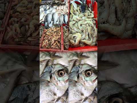 I Spent $20,000 On The World's Biggest Prawns