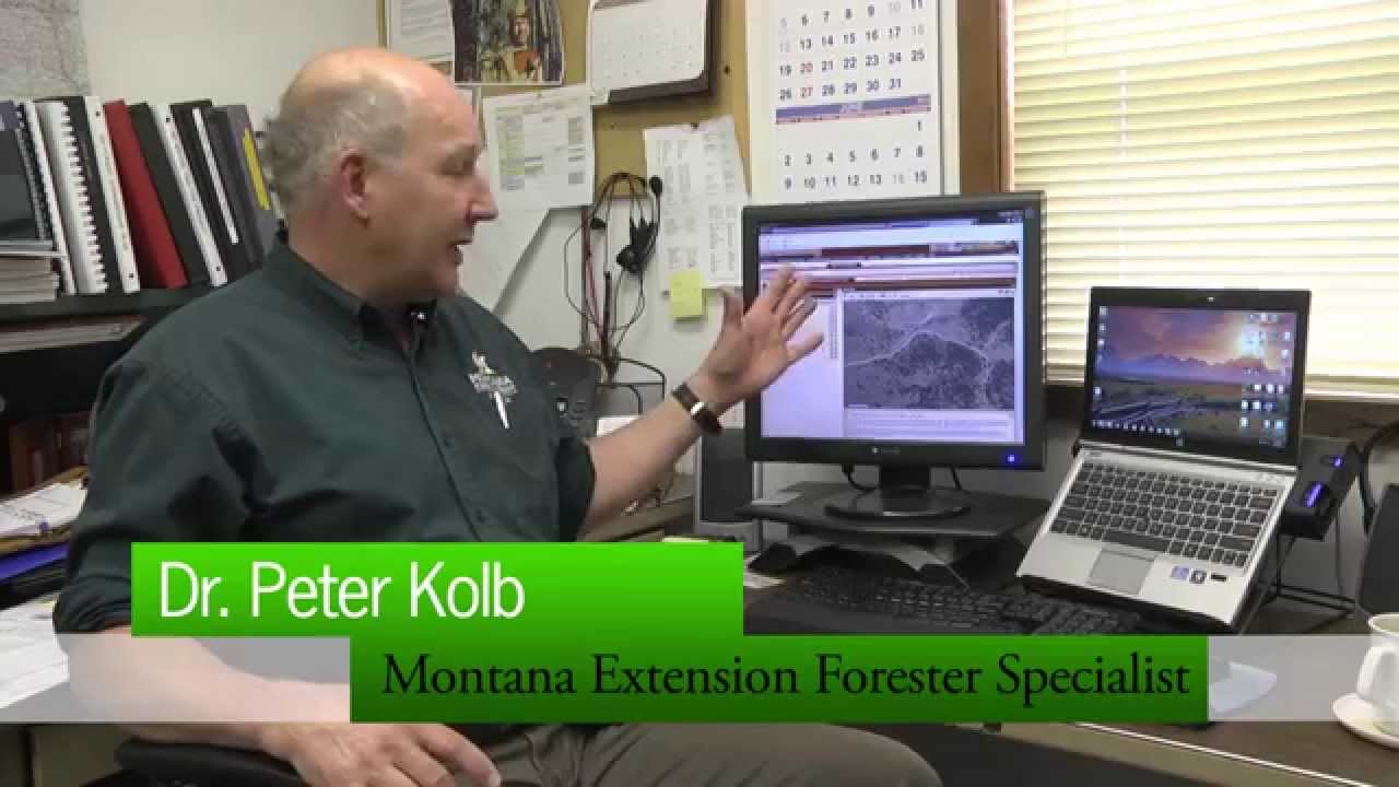 Today's Forest: Management Planning Tools