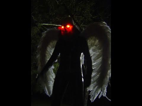 Mothman, Aliens and other Winged Creatures